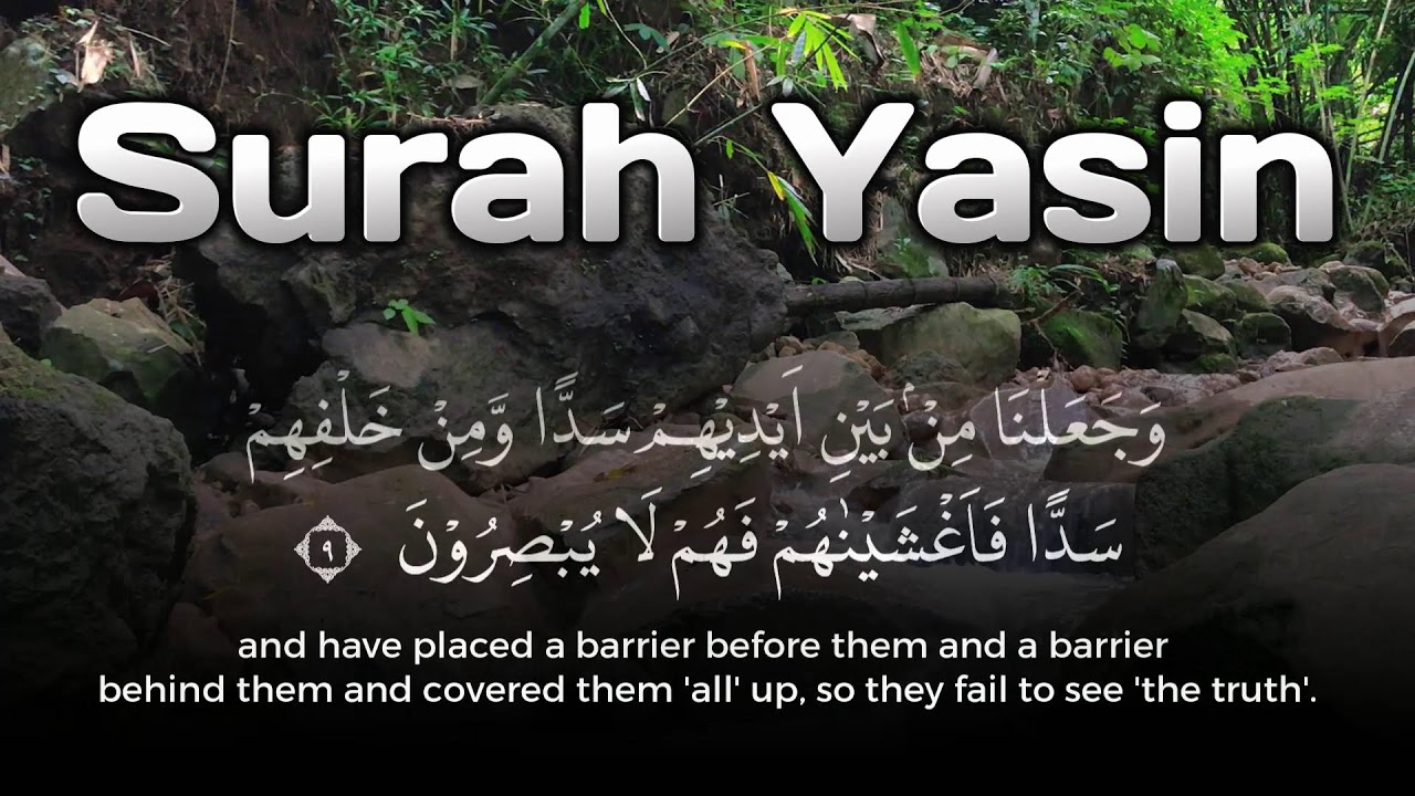Surah Yasin | Manifestations of Divine Power Recitation (تلاوة تجليات ...