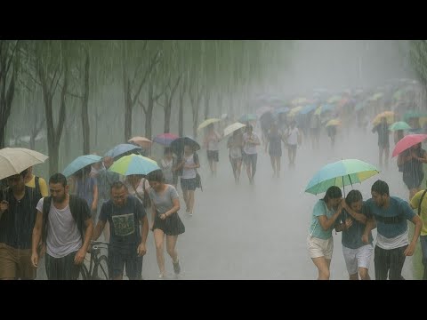 Rain Walk Experience: Relaxing Sounds for Insomnia Relief and Focus ...