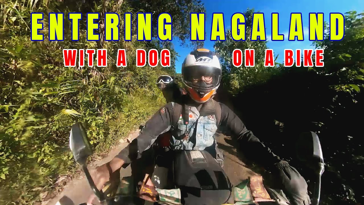 First in the world to ride to Nagaland with a dog on a bike II Amguri ...
