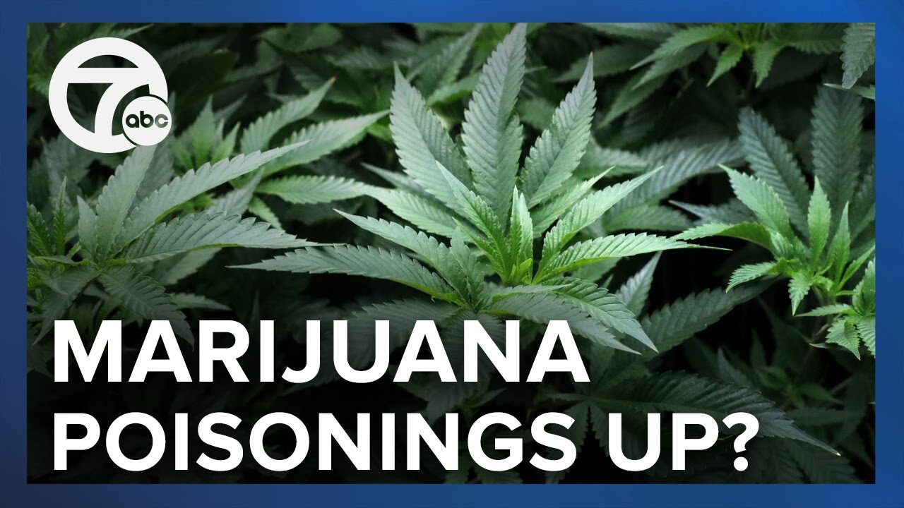 What's causing the massive spike in marijuana poisoning in young kids? - YouTube