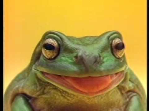 Lemsip 'Frog' Advert - YouTube