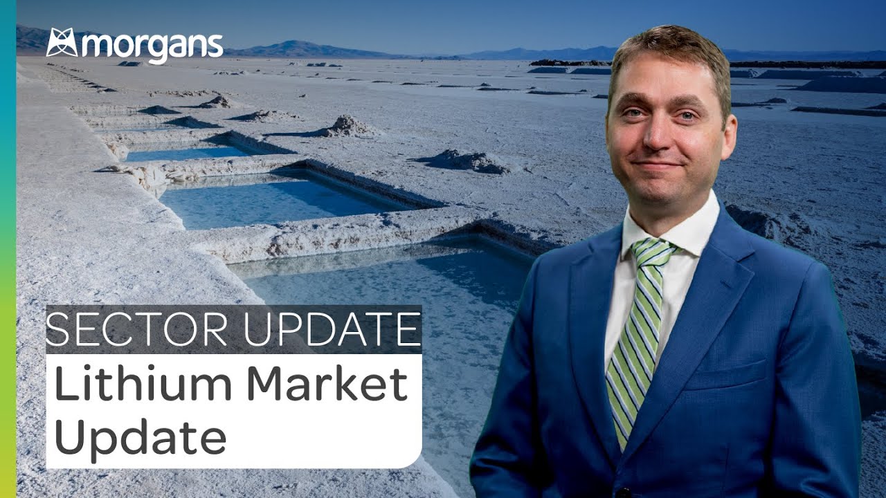 Lithium Market Update: Max Vickerson, Analyst - YouTube