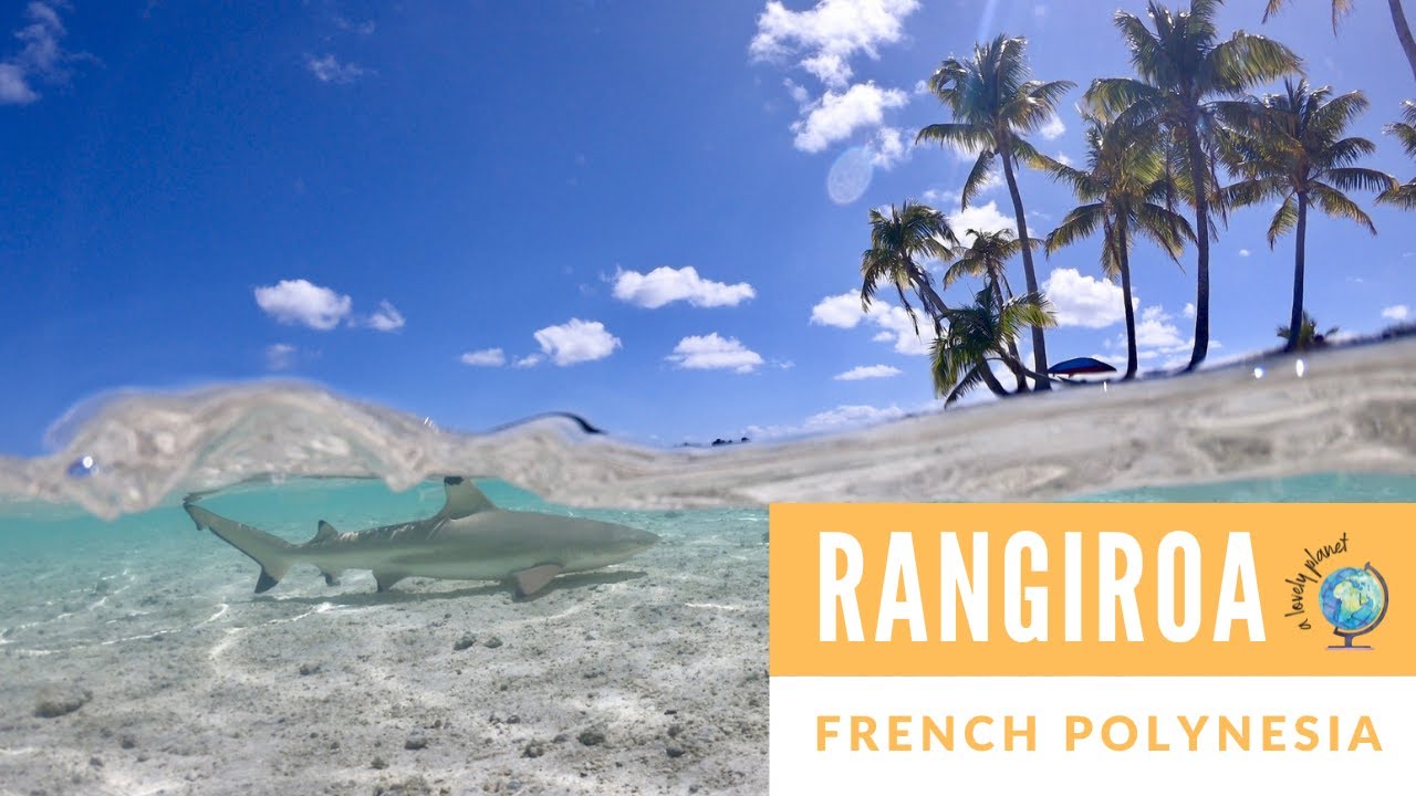 Things to do in Rangiroa, French Polynesia - YouTube