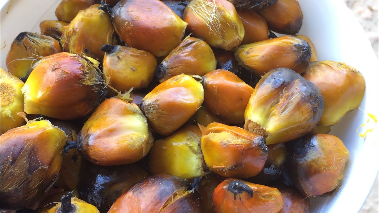 COZINHANDO DENDÊ 😱🤪 - YouTube