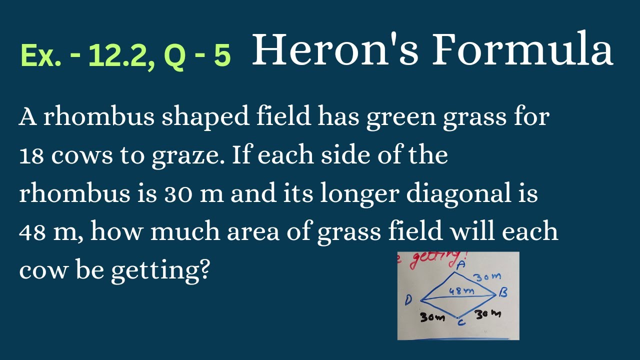 A rhombus shape field has green grass for 18 cows to graze each side of ...