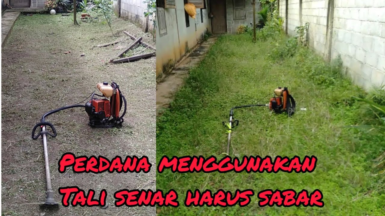 Mesin rumput, tes babat menggunakan tali senar beda jauh dengan pisau ...
