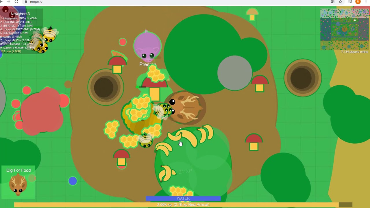 Gameplay de Mope.io ( primeiro video do canal) - YouTube