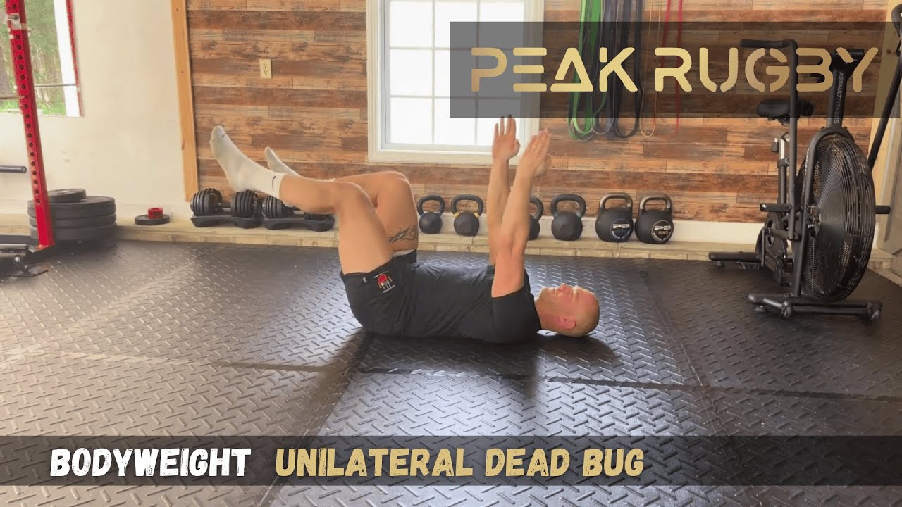 How to Do Bodyweight Unilateral Dead Bug | Core Strength Exercise - YouTube