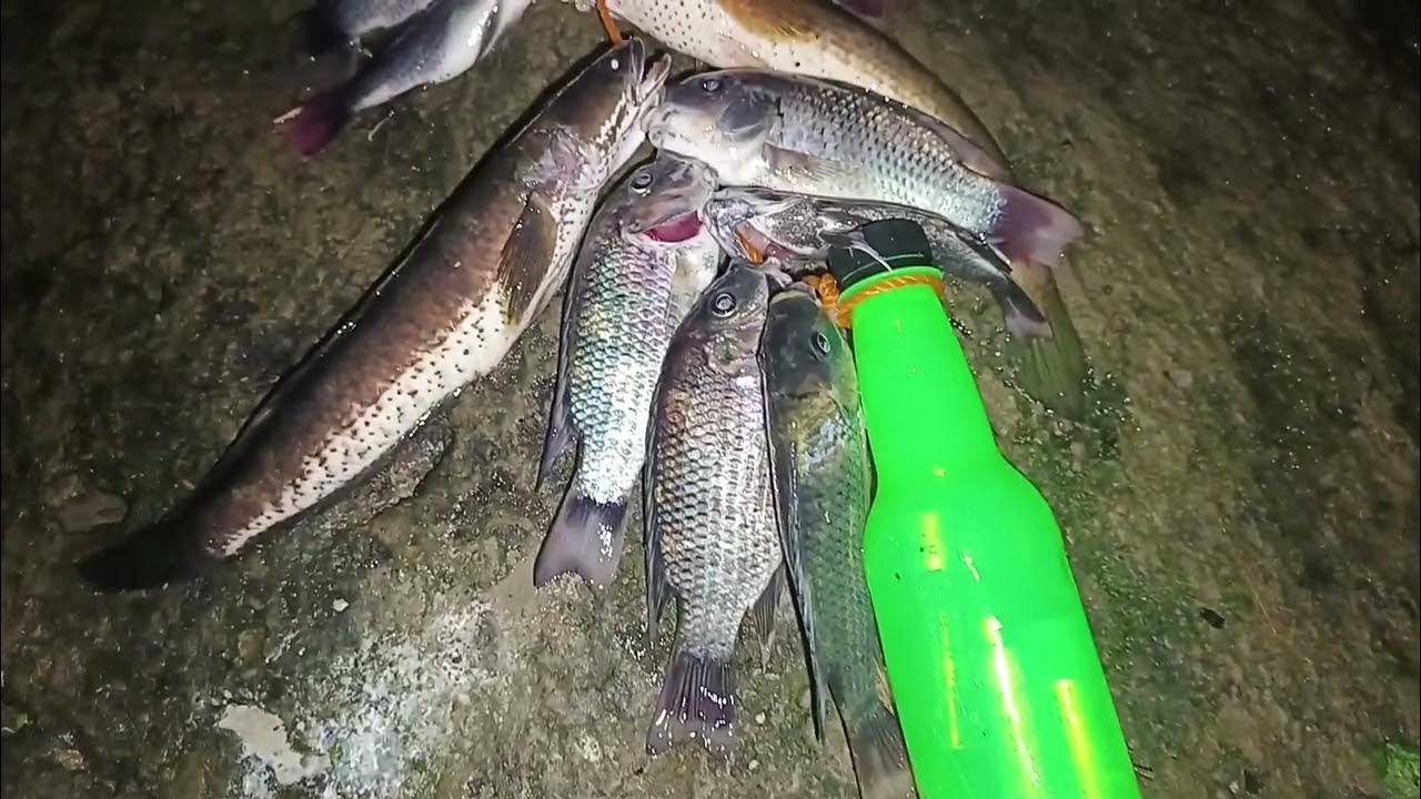 ayos may pang ulam nanaman tayo mga idol salamat sa biyaya ng ilog☺ - YouTube