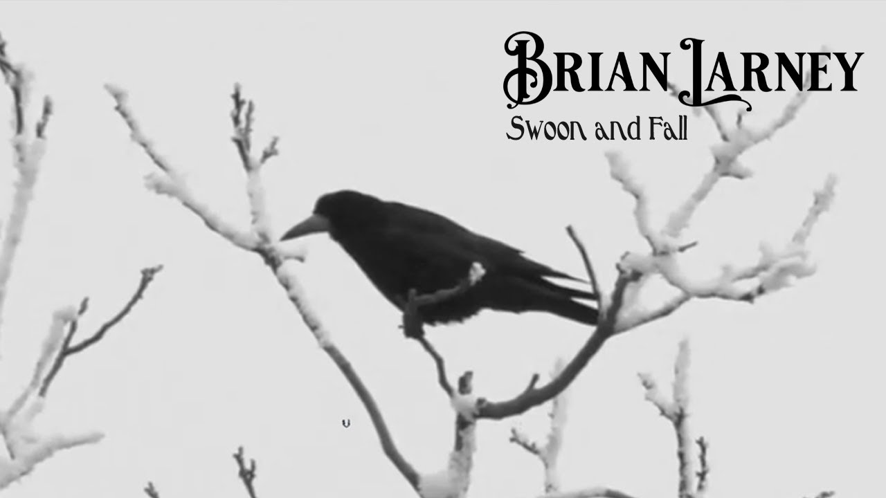 Brian Larney - Swoon and Fall (Official Music Video) - YouTube