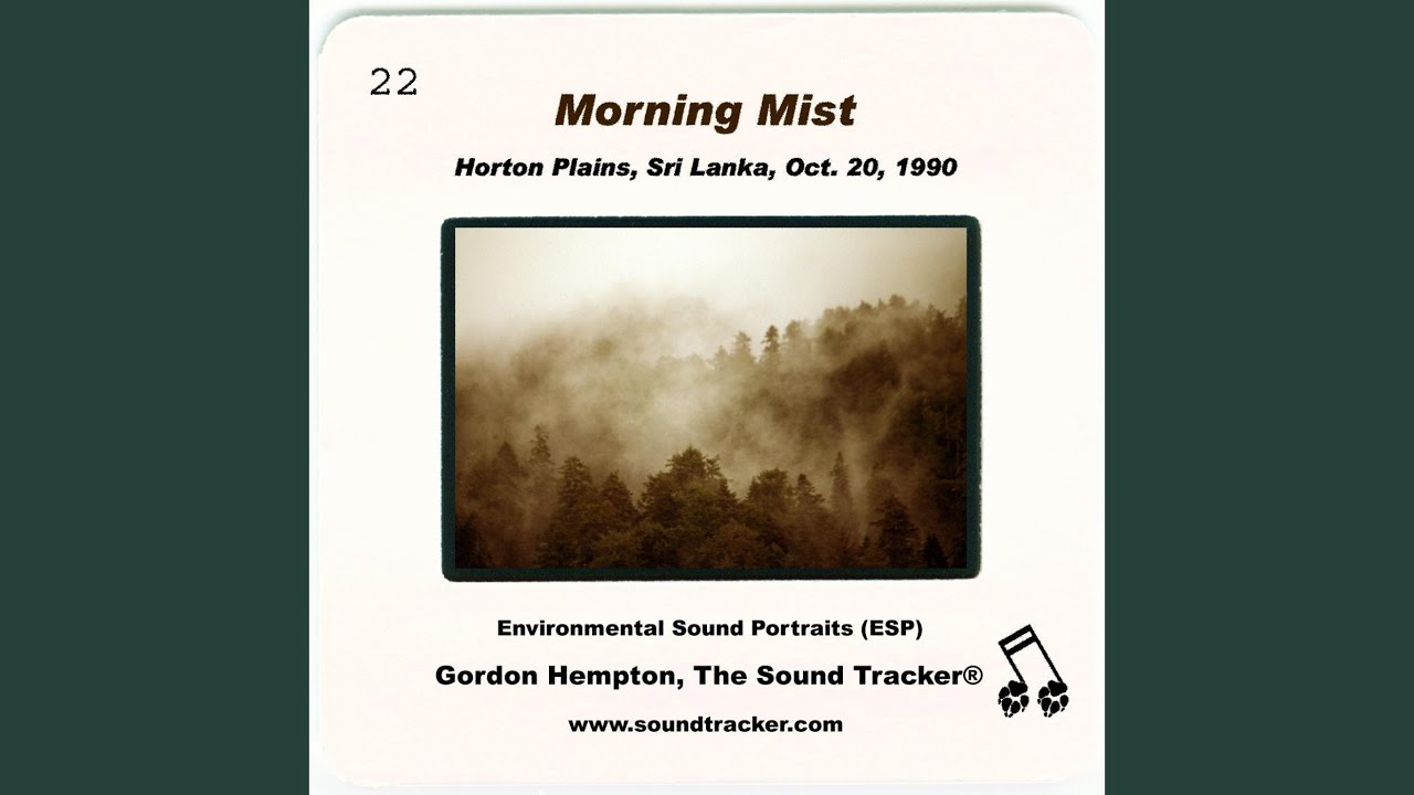 Morning Mist - YouTube