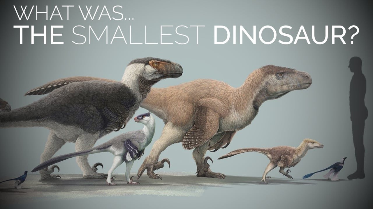 The Smallest & Cutest Dinosaurs to Ever Roam the Earth! - YouTube