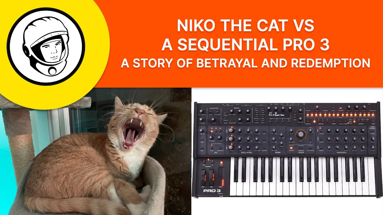 Niko the Cat vs a Sequential Pro 3 - YouTube