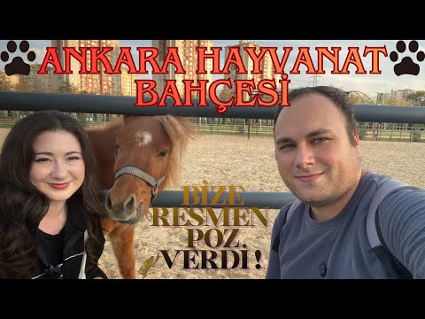 ANKARA HAYVANAT BAHÇESİ | ANKARA'DA  KEYİFLİ BİR AKTİVİTE