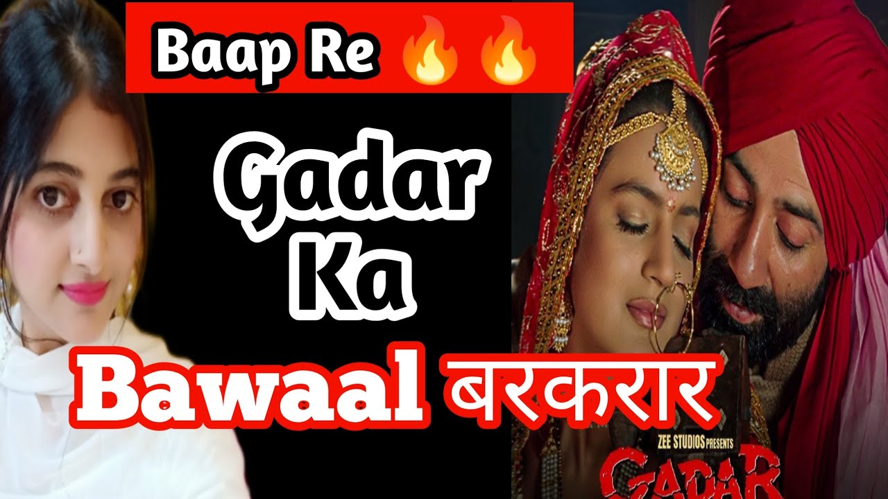 Gadar Re release Unstoppable Collection ! Gadar Re release Latest ...