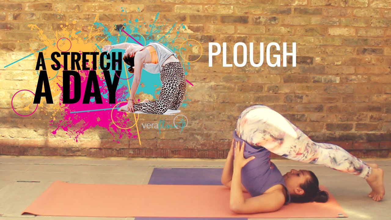 A Stretch A Day with VeraFlow™ - Plough - Day 21 - YouTube