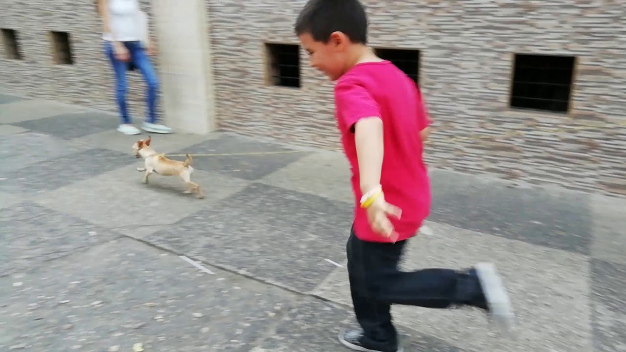 JUGANDO CON MILU - YouTube