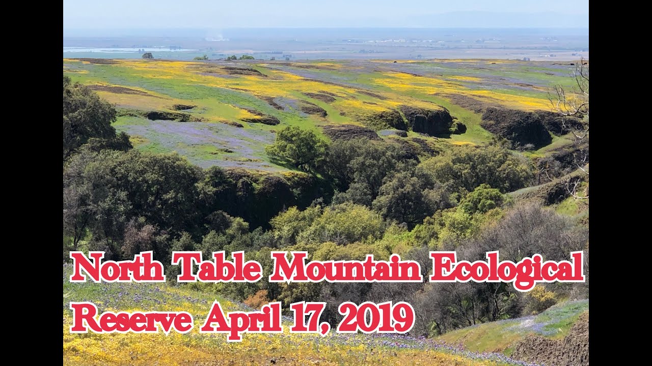 North Table Mountain Ecological Reserve April 18, 2019 - YouTube