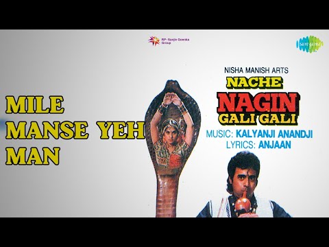 Mile Manse Yeh Man  |  Nache Nagin Gali Gali  |  Nitin Mukesh  |  Sadhana Sargam Songs