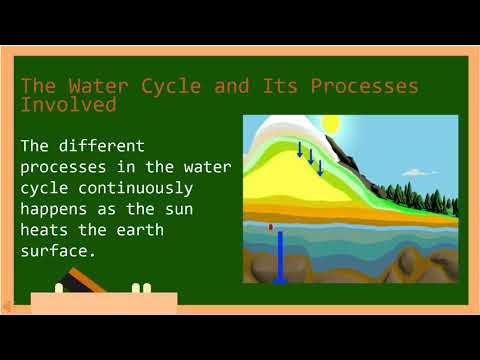 The Water Cycle/ Science 4/ Fourth Quarter/ Module 3 - YouTube