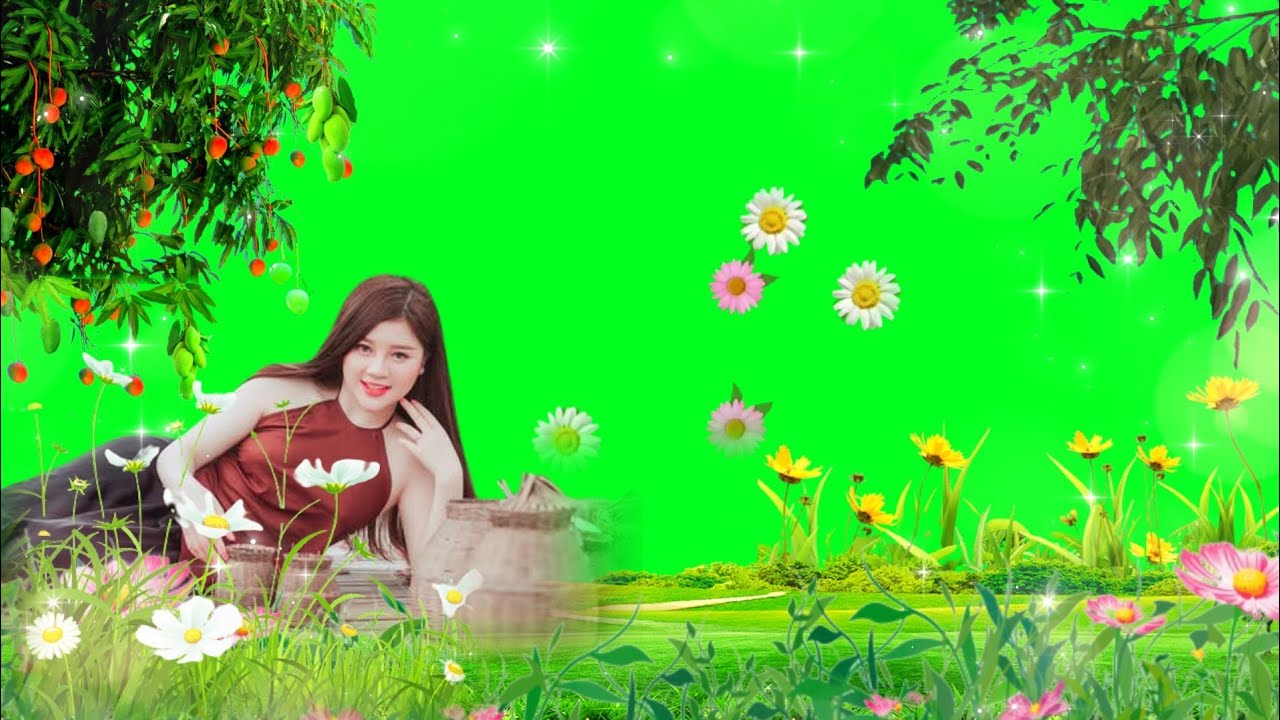 Green screen love Green screen effects Green Screen Video beautiful ...