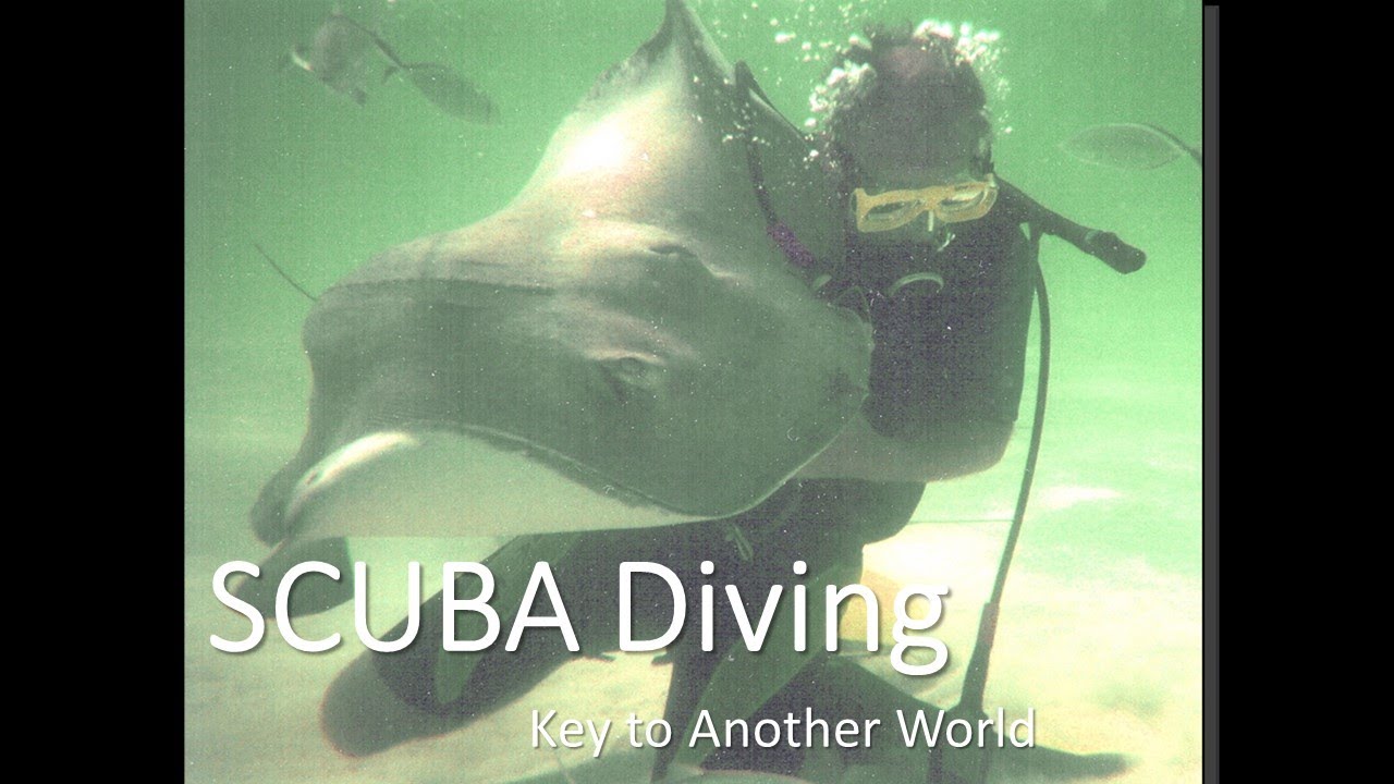 Galapagos SCUBA Steve Sain April '22 - YouTube