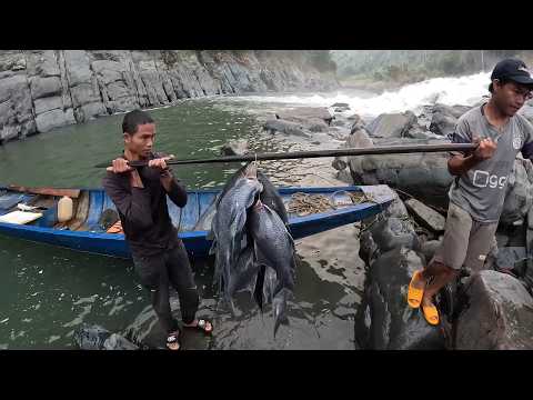A 7-day hunt for a river monster on the Dong Nai River.