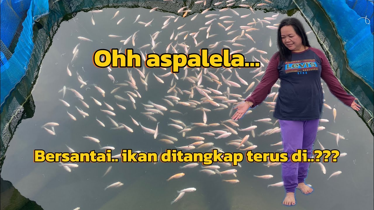 Keseronokan berada di sangkar ikan terasa seperti dalam filem Duyung ...