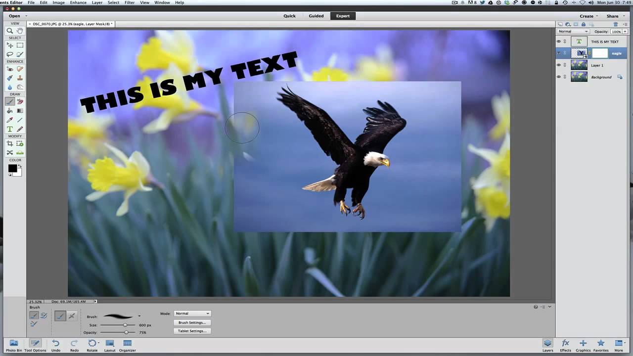 Photoshop Elements 12 Power Of Layers - YouTube