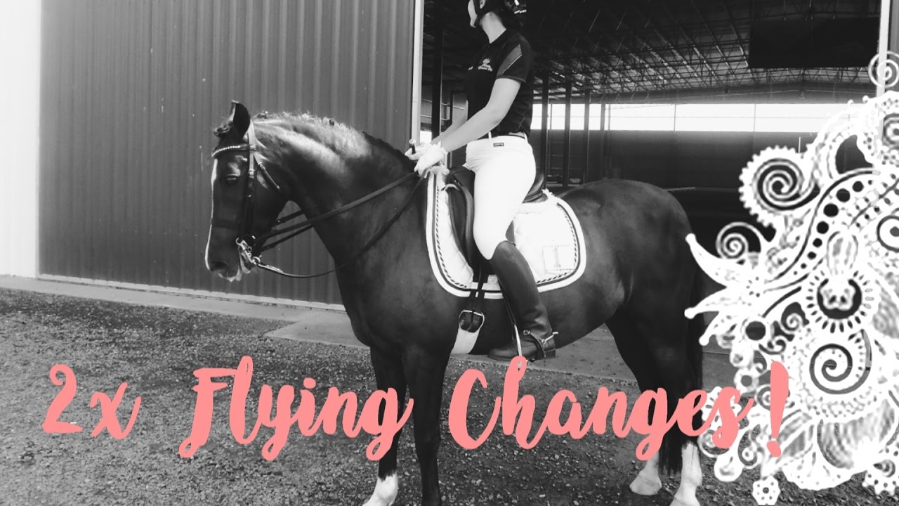 Pony doing 2 time flying changes - YouTube