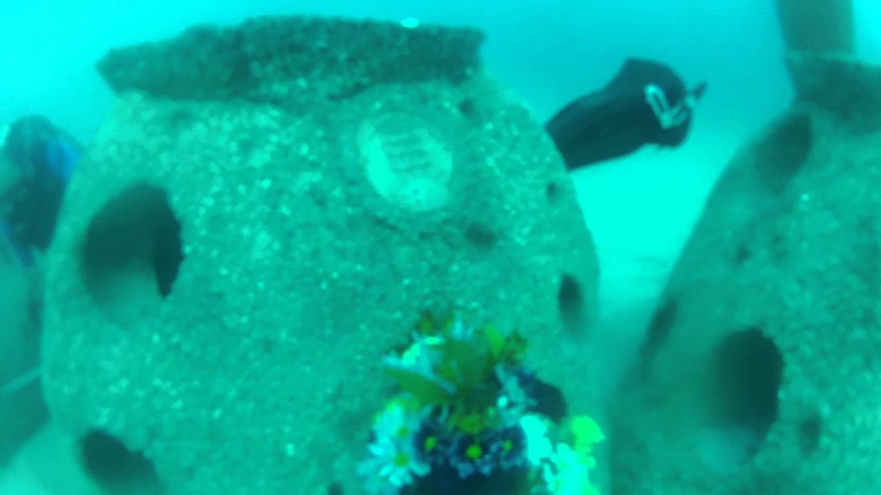 Eternal Reefs Miami / Ft. Lauderdale Golden Beach Reef Site 6/ 26-30 / ...