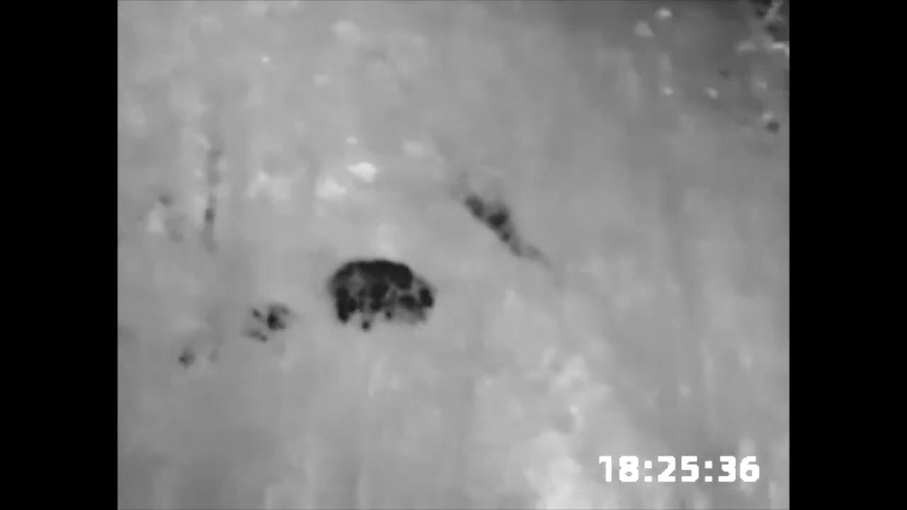 Guide Track IR25 - YouTube