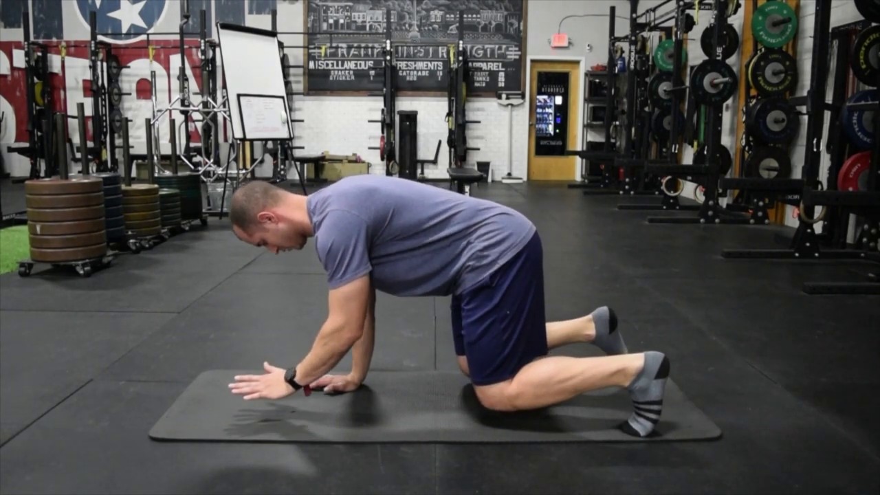 Elevated Quadruped Opposite Arm/Leg Hold - YouTube