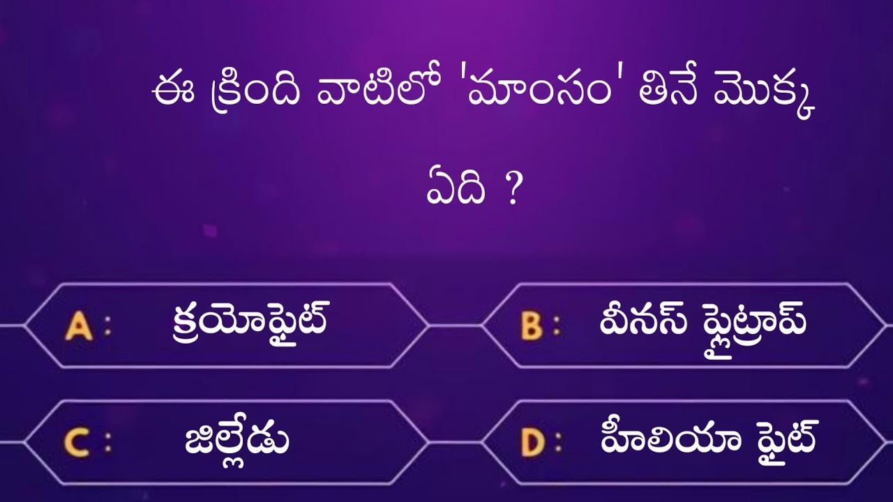 Interesting Questions In Telugu|Episode-7|By Rk thoughts|Unknown Facts ...