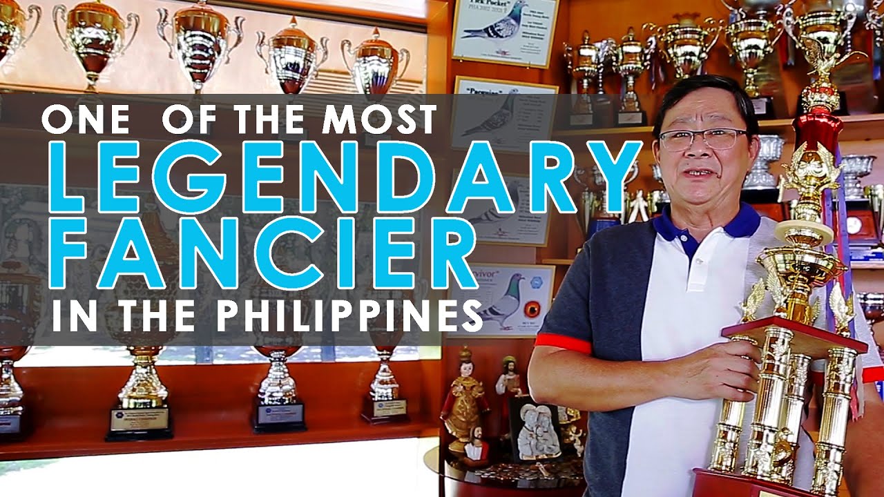 ONE OF THE MOST LEGEND FANCIER IN THE PHILIPPINES - YouTube