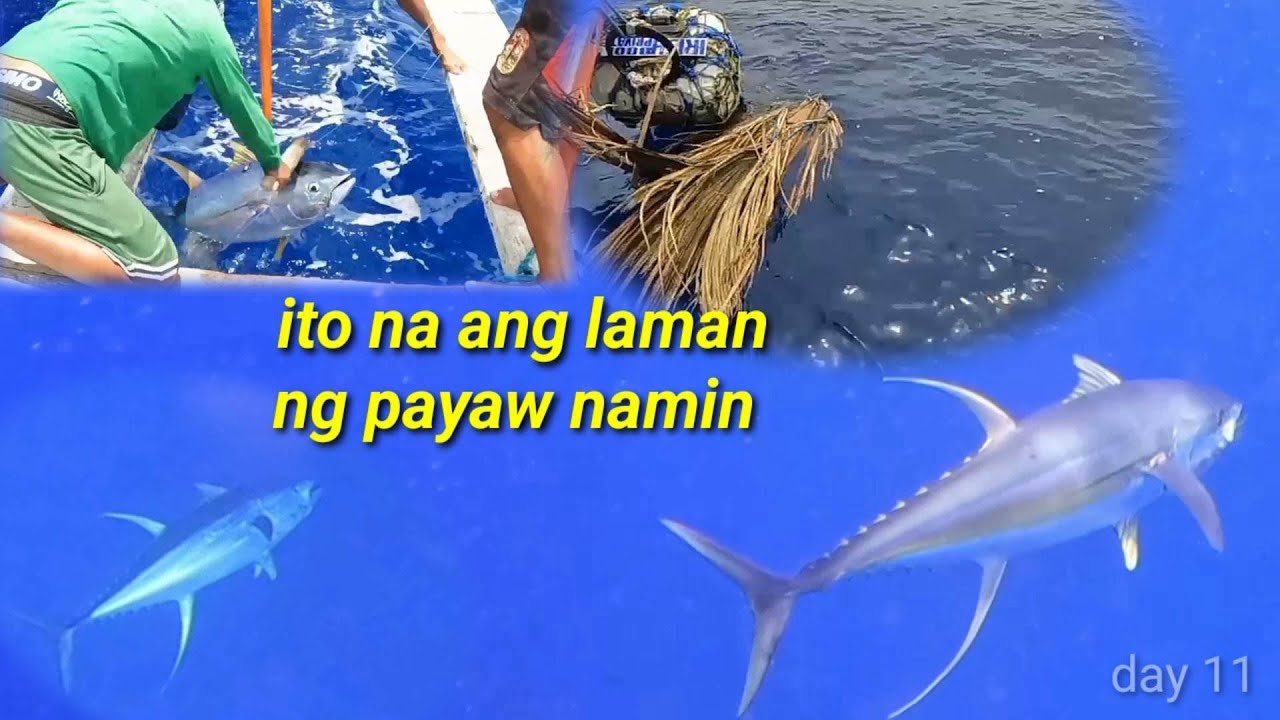 ep11 #4 laot Ng pacific Philippines rise sana mas dumami pa Ang biyaya ...