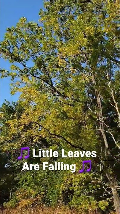 Little Leaves Are Falling 🍂 It's an Autumn favorite in my music class ...