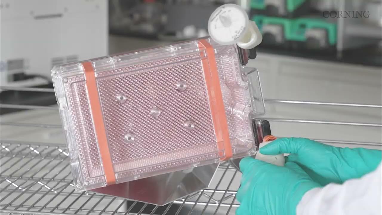 Corning® HYPERStack® How To: 空にする - YouTube