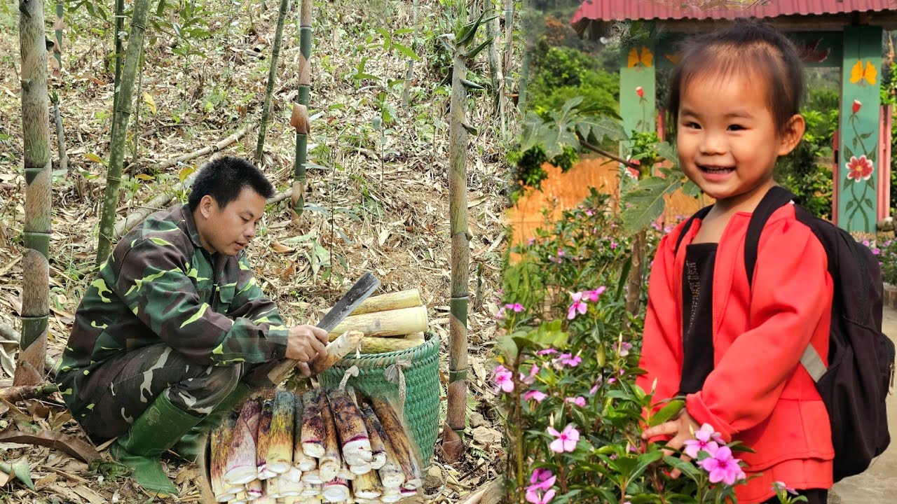 Harvesting sweet bamboo shoots goes to the market sell-Gardening ...