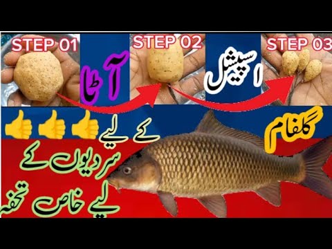 Catla fish//gulfam fish//fish pakadna ka trika//fish shikar//hunting in ...