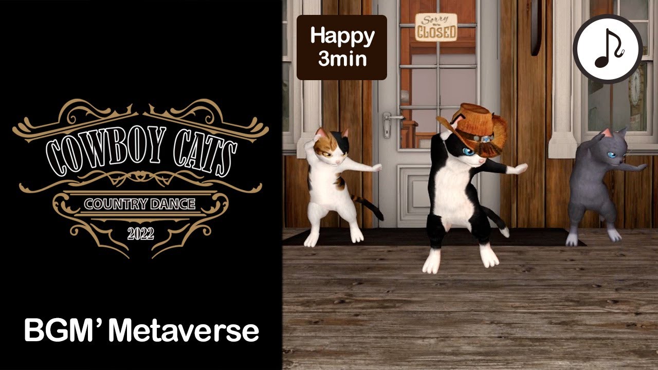COWBOY CATS - COUNTRY DANCE【BGM, Cat, Study, Dance, Happy】 - YouTube