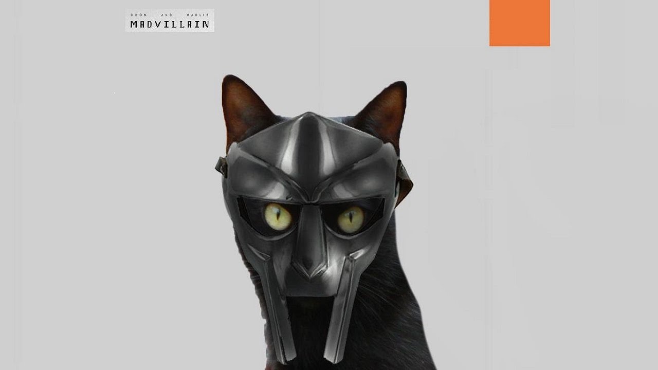 ALL CATS MF DOOM EDIT! - YouTube