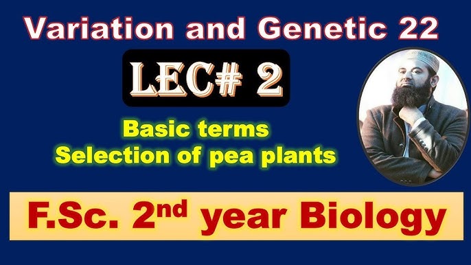 Chapter 22 Lecture Plants