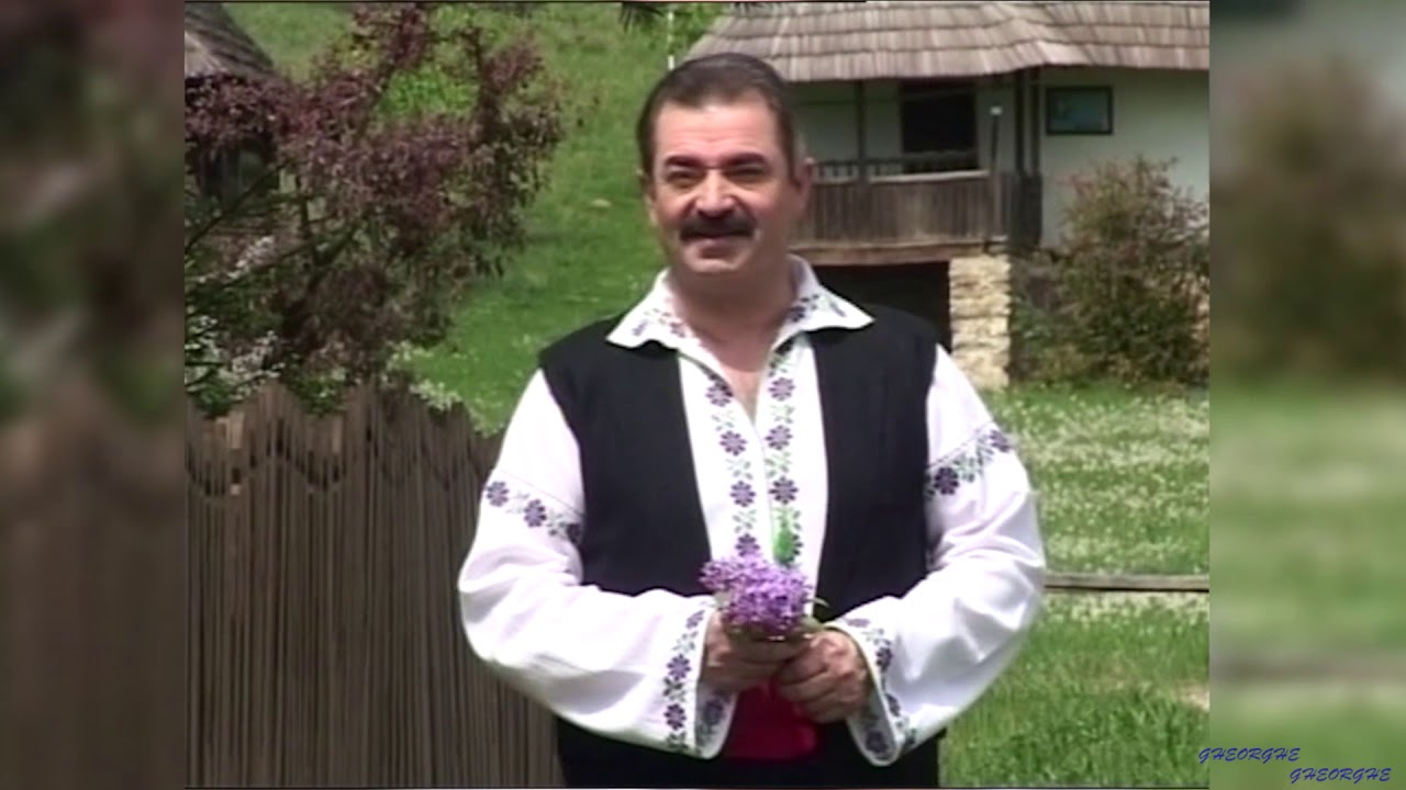 Gheorghe Gheorghe Sub poale de codru verde - YouTube