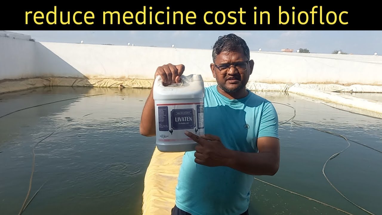 how to reduce Medicin cost in biofloc !! bioflock fish farming in india ...