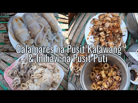 Calamares na Pusit Kalawang + Inihaw na Pusit Puti with Palamang ...