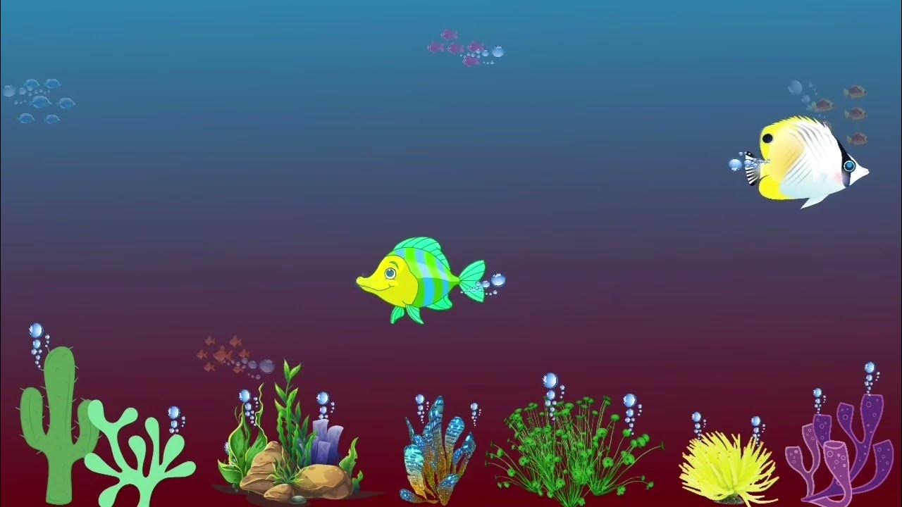 𝗙𝗶𝘀𝗵🐡🐠🐡 𝗔𝗾𝘂𝗮𝗿𝗶𝘂𝗺💟 |𝗣𝗲𝗮𝗰𝗲𝗳𝘂𝗹 𝗨𝗻𝗱𝗲𝗿 𝗦𝗲𝗮🐳💤 ||𝗔𝗾𝘂𝗮𝗿𝗶𝘂𝗺 𝗔𝗻𝗶𝗺𝗮𝘁𝗶𝗼𝗻𝘀| - YouTube