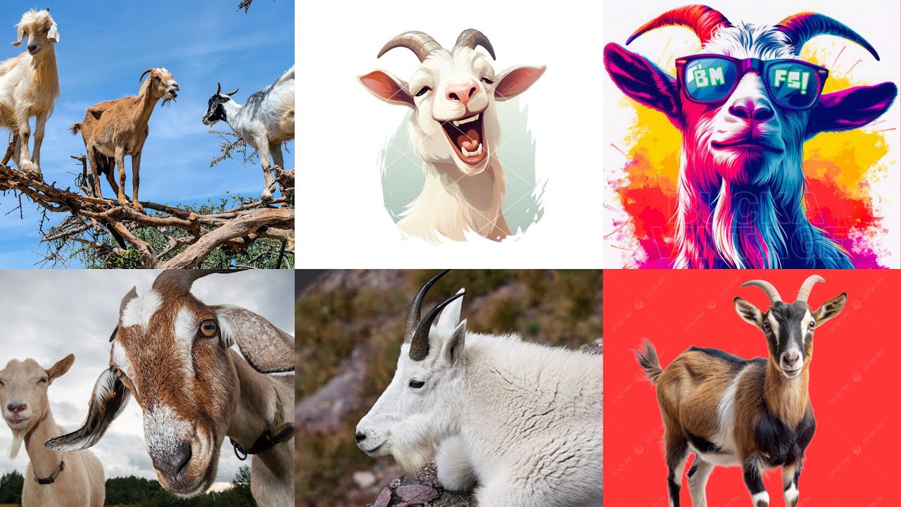 ON SOME "GOATS IN THE THUMBNAIL = GOATED THUMBNAIL" $HIT Giuliano ...