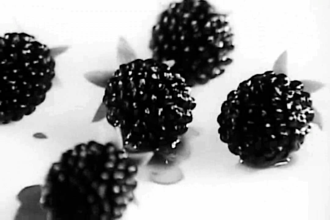 Beech-Nut Lifesavers Candies - Fancy Fruit - YouTube
