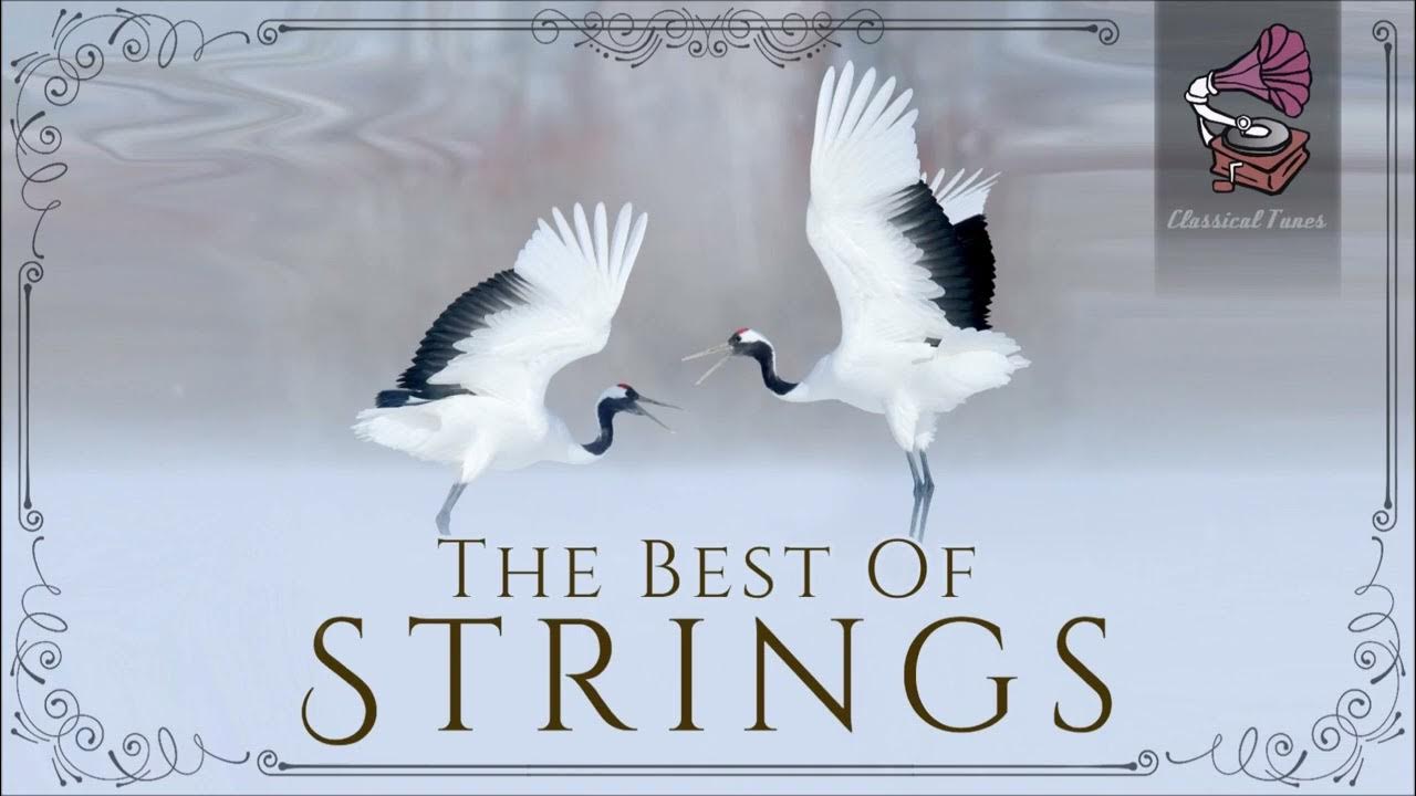 The Best Of Strings - YouTube